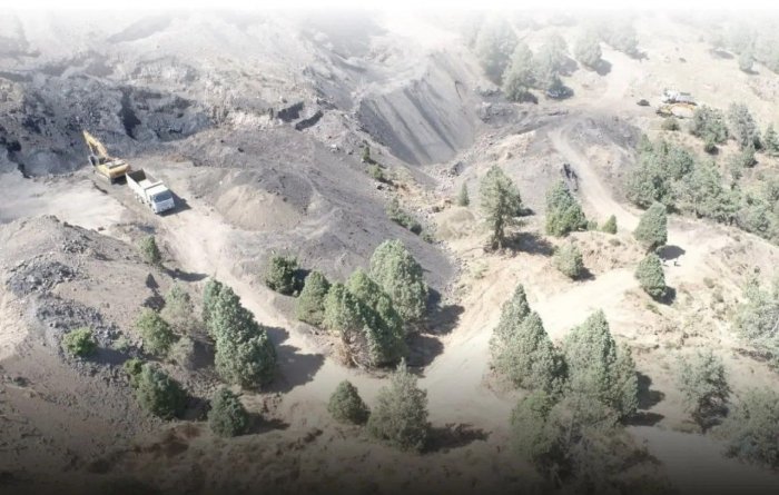 Tadbirkorlik sub’ekti tomonidan tabiatga 80 million so‘mdan ortiq zarar ...