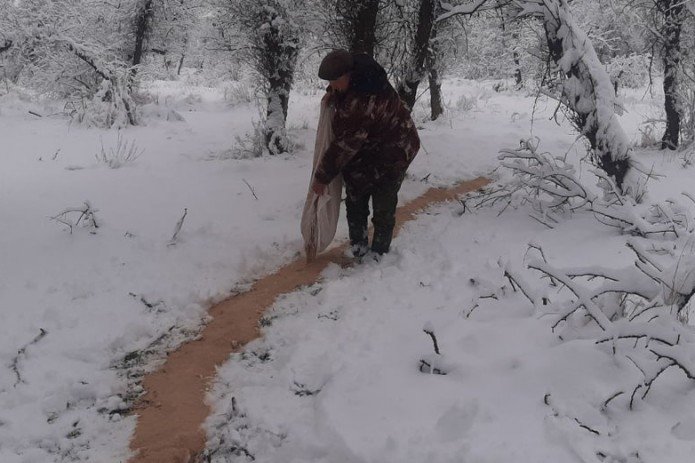 Qishda yovvoyi hayvonlarni saqlab qolish uchun biotexnik ishlari olib ...